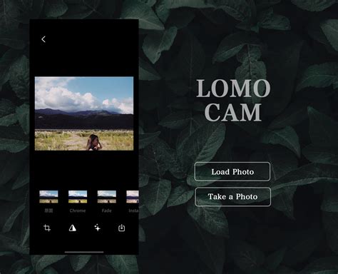 GitHub Xxinlei PhotoEditor