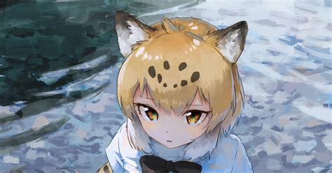 ジャガーけものフレンズの人気イラストやマンガ（1000件超） Pixiv