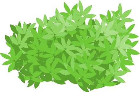 Arbusto De Planta Verde Png Planta Arbusto Png Verdor Png Planta De