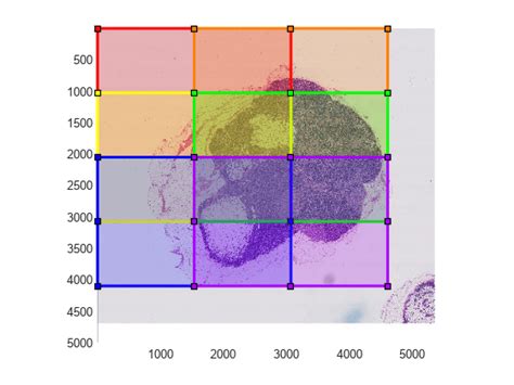 SelectBlockLocations Select Blocks From Blocked Images MATLAB