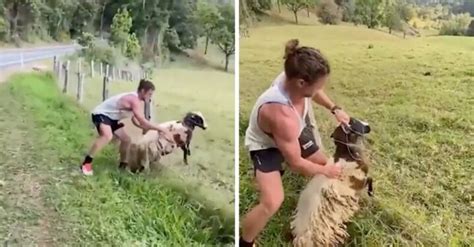Zij Is Bezig Met Haar Yoga Sessie Maar Deze Hond Wil Dolgraag Meedoen