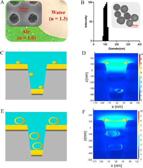 Characterization And Finitedifference Time Domain Fdtd Simulation Of Download Scientific