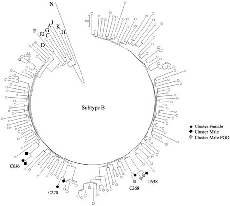 Frontiers Phylogenetic And Drug Resistance Analysis Of 60 Off