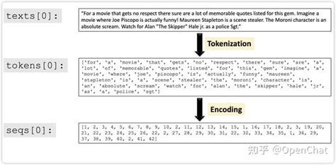 【ai 实战】text processing and word embedding 文本处理以及词嵌入原理和代码实例讲解 知乎