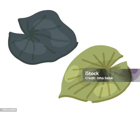 추상 물 수련 식물 에서 연못 녹색 잎 패드 벽지 연꽃은 만화 스타일로 나뭇잎을 떠납니다 흰색 절연 식물 클립 아트 단일 벡터 그림입니다 0명에 대한 스톡 벡터 아트 및