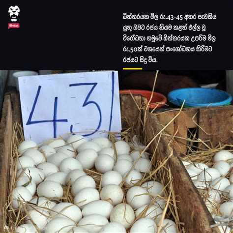 Roar සිංහල ඉහළ පහළ යන රටේ බිත්තර මිල