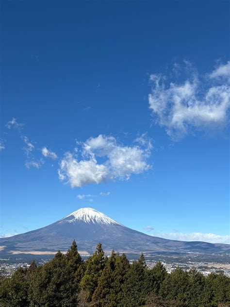 年末 まるぷー