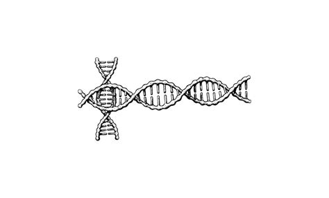 Monochrome Illustration Of A Twisted Dna Strand With Helix Structure