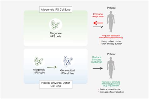 Universal Donor Cells Healios K K