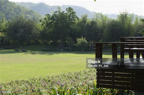 산과 맑고 푸른 하늘 아래 푸른 나무와 아름 다운 풍경 앞 잔디밭 잔디와 정원에 아름 다운 녹색 울타리 나무를 심 었습니다 0
