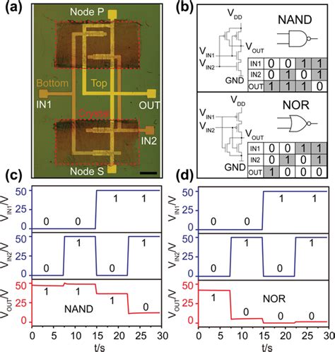 A An Om Image Of The Dual‐functional Logic Gate Based On Ambipolar Download Scientific Diagram