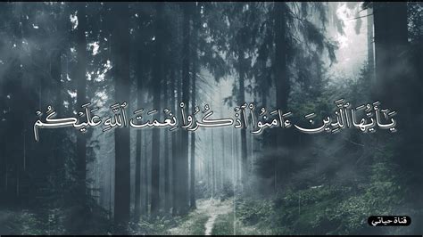يا أيها الذين آمنوا كونوا قوامين لله🤍 راحة نفسية🤍حالات واتس اب