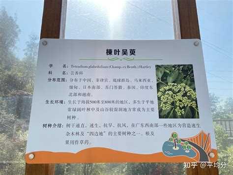 厦门山海步道科普长廊城市园林绿化植物篇4 知乎