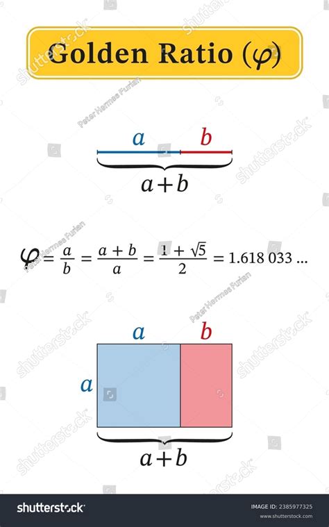 Golden Ratio Line Segments Golden Ratio Stock Vector Royalty Free