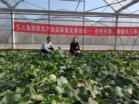 王毓洪带队参加长三角西甜瓜产业高质量发展论坛