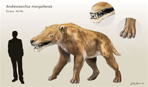 Extinct Predator Andrewsarchus In 2025 Prehistoric Animals Extinct