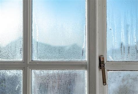 How To Remove Moisture From Double Pane Windows Twigandthistle