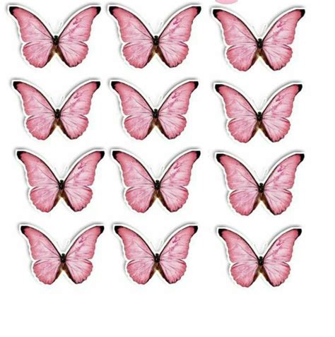 Pin De Thässya Liins En Minha Página Mariposas Para Imprimir