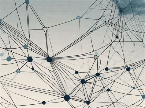 Understanding Backbone Networks Comprehensive Definition And Overview Hifi