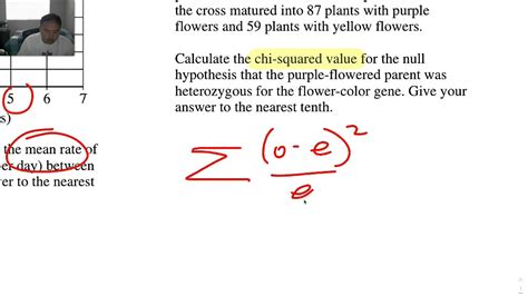 AP Biology Review Fill In Math Formulas YouTube