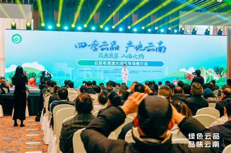 2023年云南省绿色云品粤港澳大湾区专场推介会在广州召开 深圳之窗