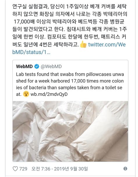 일주일에 베개 커버를 몇회 세탁하는가 악플달면 쩌리쩌려버려 ＊여성시대＊ 차분한 20대들의 알흠다운 공간