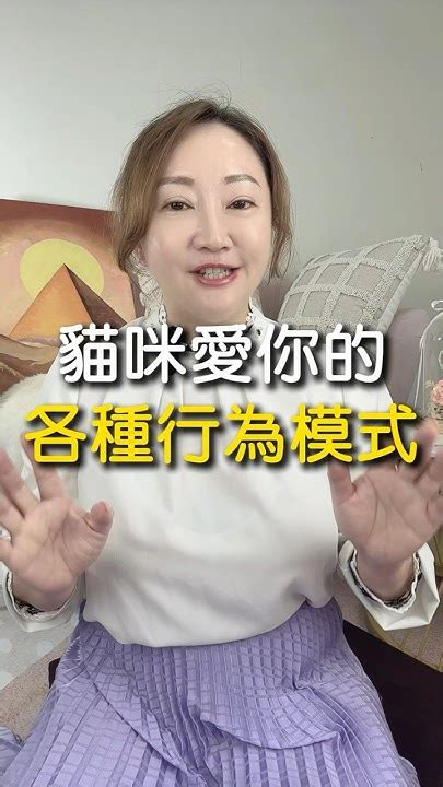 貓咪愛你的各種行為模式 毛孩子 毛小孩 寵物 貓 Youtube