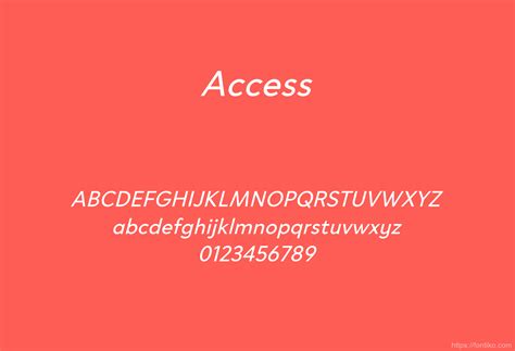Access Font [otf Ttf]
