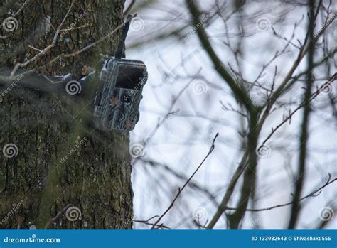 Trail Camera Stock Image Image Of Hunting Setup Trail 133982643