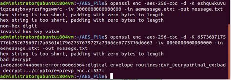 Given An Unencrypted Aes Key And An Encrypted Chegg