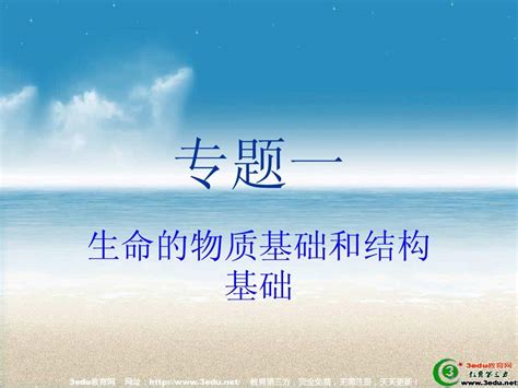 高三生物生命的物质基础和结构基础复习word文档在线阅读与下载无忧文档