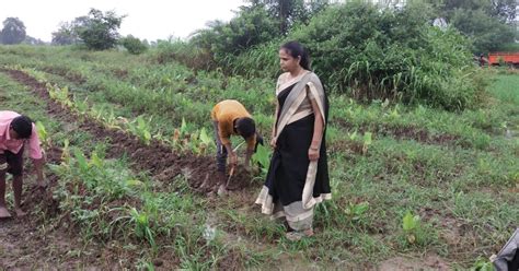 हल्दी बेचकर लाखों कमा रही ये महिला किसान Pm मोदी तक कर चुके हैं