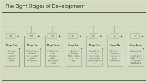 The Eight Stages Of Development PPT Designs ACP PPT Sample