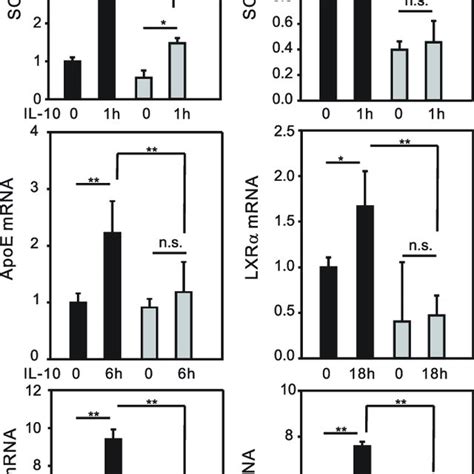 Il 10 Activation Of The Pi3kakt Pathway Requires Ampk A And B Il 10