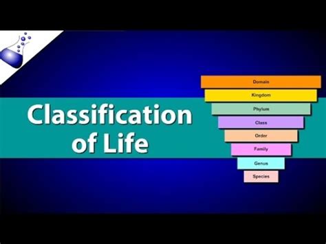 Classification Of Life Instructional Video For 9th 12th Grade