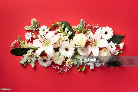 복사 공간 빨간 종이 배경에 흰색 꽃의 봄 구성 크리에이티브 레이아웃 평평한 누워 평면도 여름 최소 개념입니다 0명에 대한 스톡