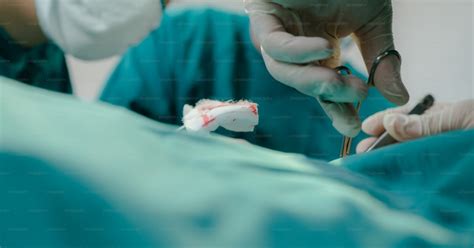 병원 수술실에서 사용하기 위한 외과 의료 기기 전문 의사로부터 사용하는 수술 의료 기기 도구 사진 Unsplash의 외과 의사 이미지