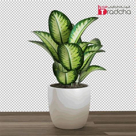 خرید و قیمت فایل دوربری شده عکس گلدان گل آپارتمانی پسوندpng ترب
