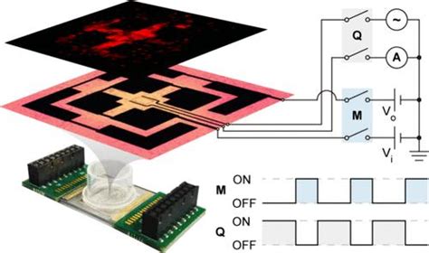Spatiotemporal Cell Control Via High Precision Electronic Regulation Of Microenvironmental Ph