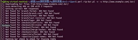 ctf常见源码泄露 Lmg66 博客园