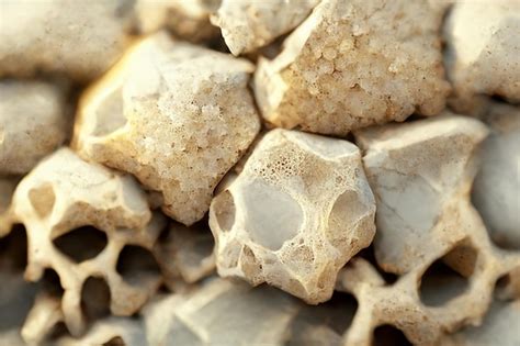 Premium Photo Macro View Of Bone Structure Illustration