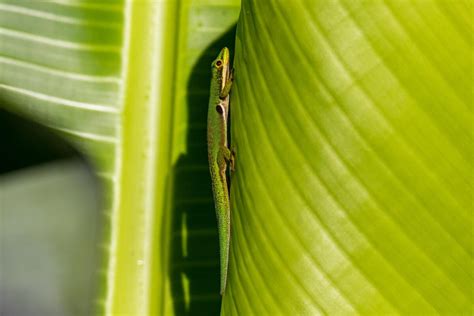 Unep Nature Risk Profile A Methodology For Profiling Nature Related