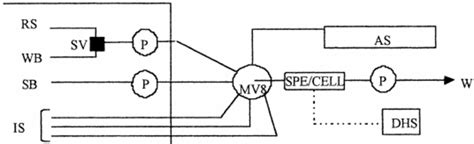 Schematic Diagram Of The Flow Injection Manifold Used For Immunoassays