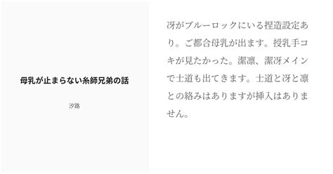 R 18 腐ルーロック 潔冴 母乳が止まらない糸師兄弟の話 汐路の小説 Pixiv
