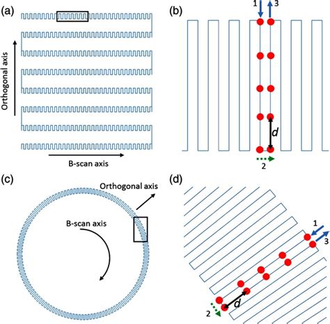 Speckle Reduction In Visible Light Optical Coherence Tomography Using