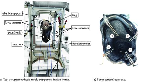 Test Setup For Experimental Analysis Of The Prosthesis Socket Download Scientific Diagram