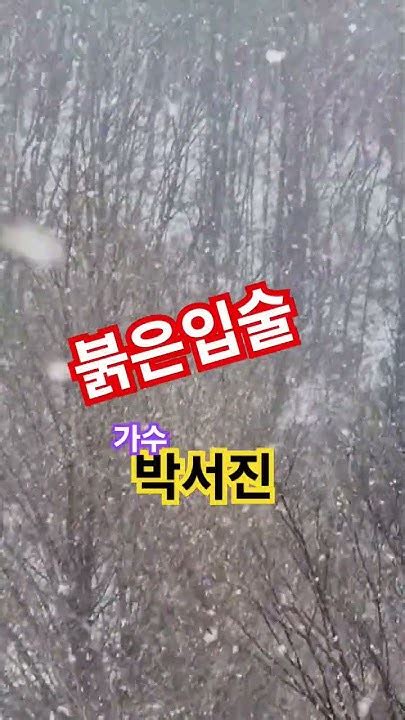 박서진 붉은입술 명품트로트 나훈아💐 Youtube