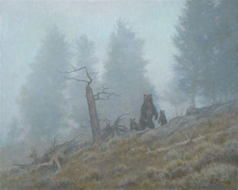 An Encounter In The Clouds Western Visions