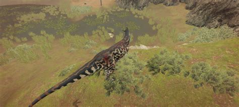 Albert Was So Scared Of My Pycno That He Fell Off The Rock In Fear R