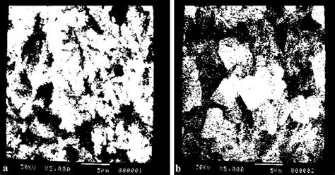 Sem Micrograph Of Unirradiated Inactive Pd Ag Rod A And Gamma